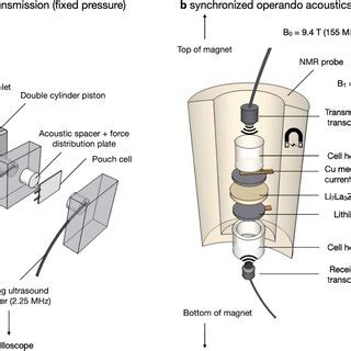 Schematic Of Experimental Designs And Cell Fixtures A Fixed Pressure Download Scientific