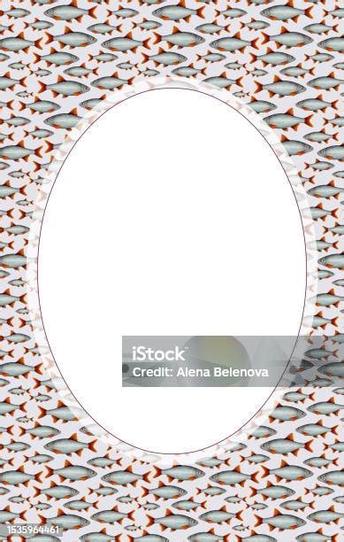 흰색 배경에 다양한 크기의 붉은 지느러미가 있는 물고기의 수채화 그림 프레임은 중간에 타원형의 흰색 창이 있습니다 배경 화면 로고 배너 아이콘 카드 전단지 섬유 엽서 포장지