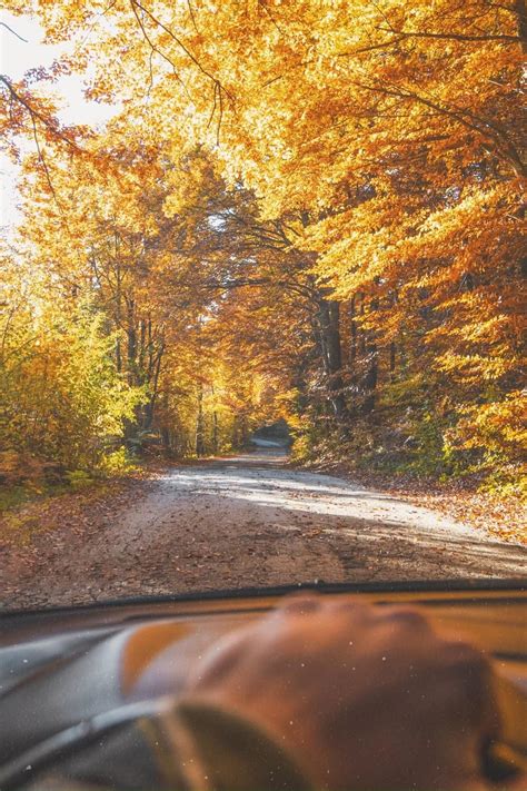 D9 8a D8 B9 D9 82 D9 88 D8 A8 D9 83 D9 88 D9 87 D9 8a D9 86