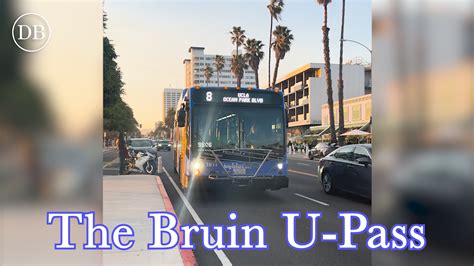 The Bruin U Pass Daily Bruin