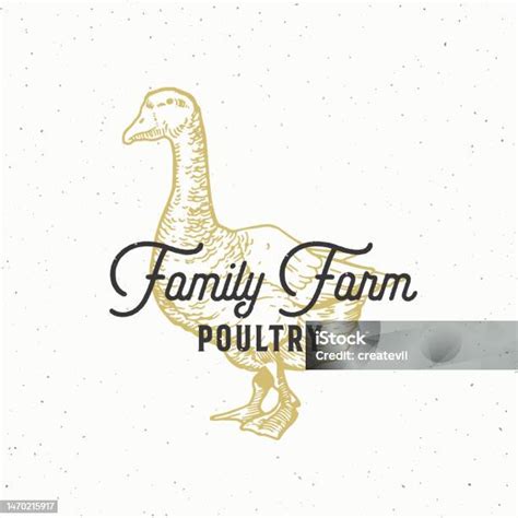 가족 농장 가금류 추상 벡터 기호 기호 레이블 템플릿 손으로 그린 조각 거위 실루엣과 복고풍 타이포그래피 빈티지 엠블럼 가금류에 대한 스톡 벡터 아트 및 기타 이미지