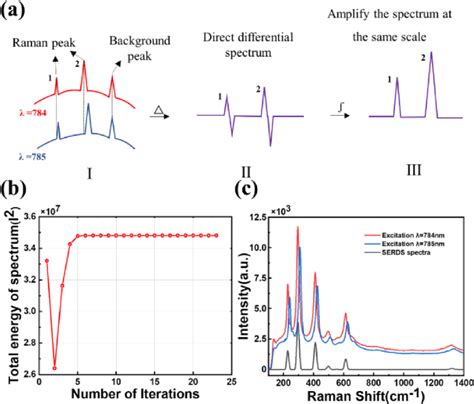 A Theoretical Diagram Of Sedrs Processes For The Extraction Of Raman