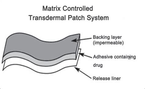Design Of A Matrix Controlled Transdermal Patch Download Scientific Diagram