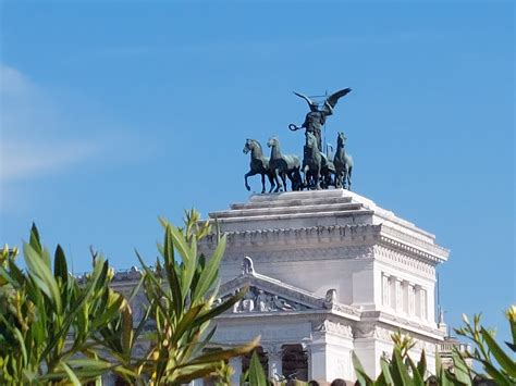 Emocia Wines • ღვინის ემოცია Home