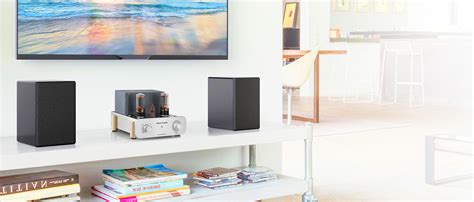 Douk Audio Vu3 Pro Dual Analog Vu Meter 2 Way Amplifier