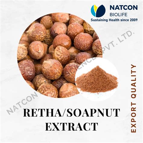 Rhodiola Rosea Extract At ₹ 2501 Kg Reetha Powder In Greater Noida