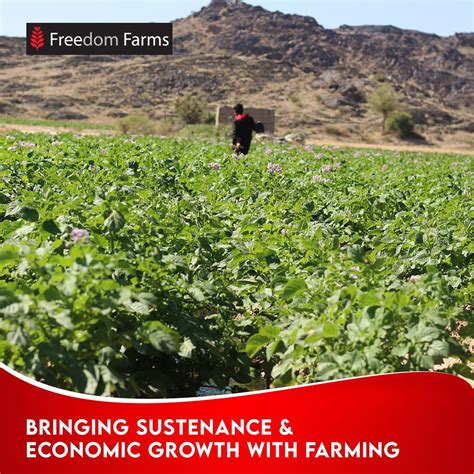 Freedom Farms On Linkedin Freedomfarms Freedomfarms Ramadan