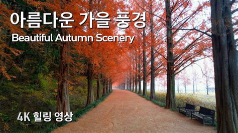 가을풍경이 아름다운 곳단풍 명소단풍힐링 영상가을 영상autumn Scenerykorean Scenery Youtube