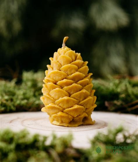 Свеча «Кедровая шишка Сибирские кедры