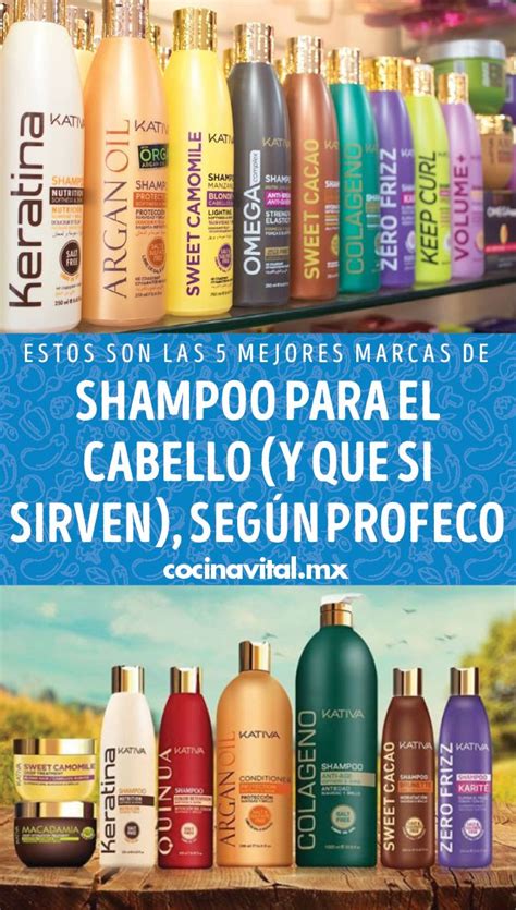 Estos Son Las 5 Mejores Marcas De Shampoo Para El Cabello Y Que Si