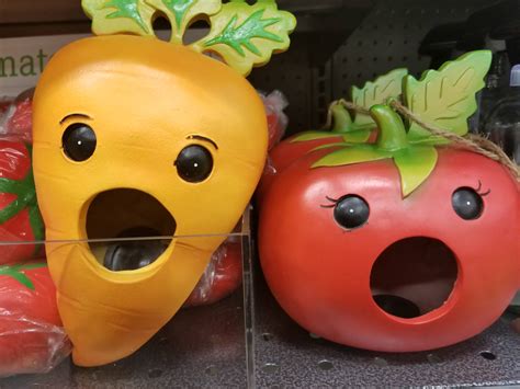 Not Really Sure What These Are For Rdontputyourdickinthat