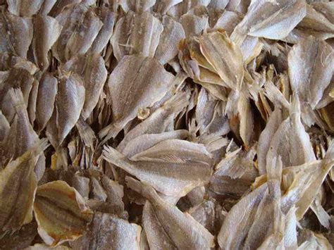魚乾烘乾機在海產品烘乾中的應用ENT節能 每日頭條