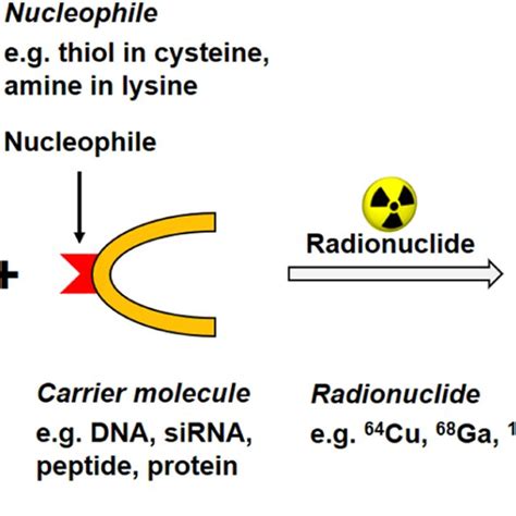 Schematic Reaction Illustration Of A Radionuclide Complexing Download Scientific Diagram