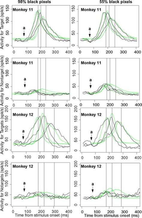 Neural Firing Rates Averaged Over Cells And Aligned On The Stimulus