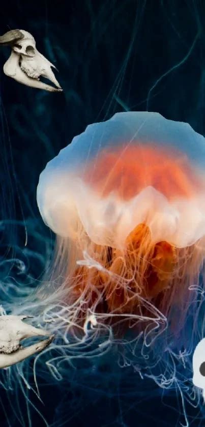 Mystical Jellyfish And Skulls Art Free Download