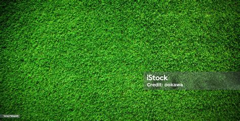 녹색 잔디 바닥 배경 녹색 배경을 만드는 데 사용되는 정원 밝은 잔디 개념의 톱 뷰 녹색 잔디 배경 완벽한 골프 또는 축구장