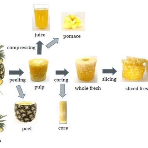 The Processing Line For Manufacturing Pineapple Juice And Canned