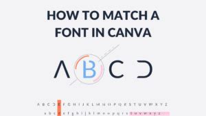 How To Match A Font In Canva Best Font Identifier Tools Template Fonts