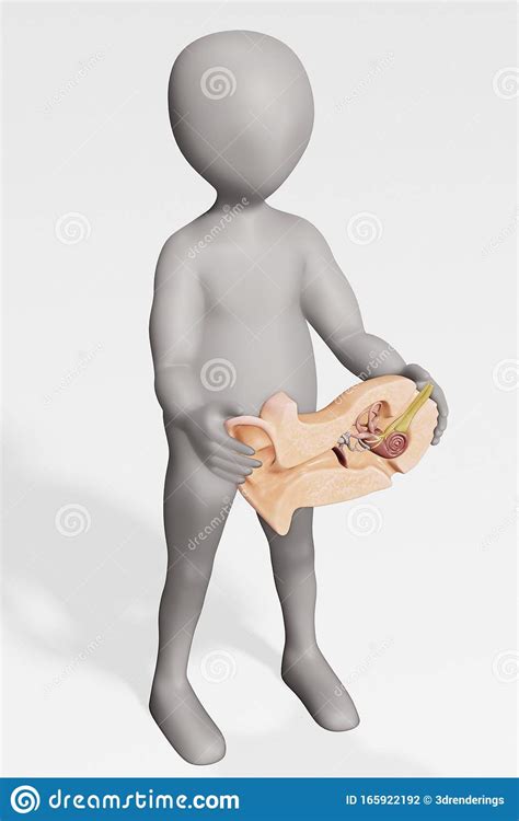 Render Of Character With Ear Section Model Stock Illustration