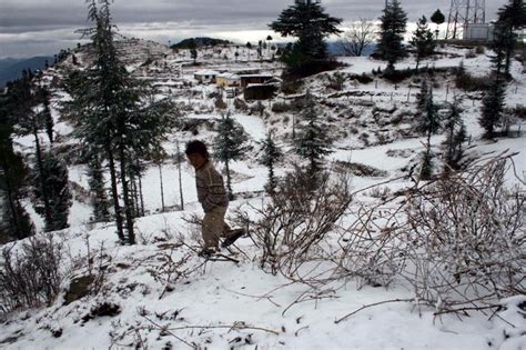 Winter Is Here Himachal Pradesh Receives Fresh Snowfall Imd Issues