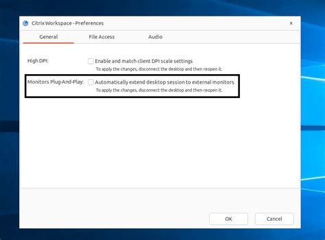 Graphics And Display Citrix Workspace App For Linux