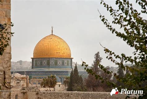 세계적인 엑셀러레이션 프로그램과 한국의 기업 엑셀러레이션 프로그램 플래텀