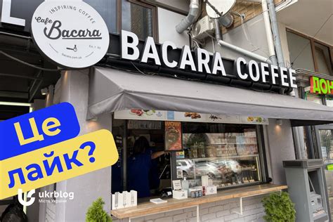 Bacara Coffee: Відкриття нового світу кави в Чернівцях – дотику Львова ...