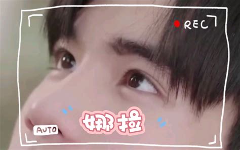 这是谁家的 快来认领 骑着蝴蝶的棕熊 美貌暴击剪辑 哔哩哔哩视频
