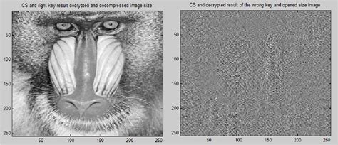 Figure 8 From Hybrid Optical Cryptography And Compressive Sensing Based