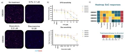 3d Ex Vivo Patient Tissue Platform Crown Bioscience