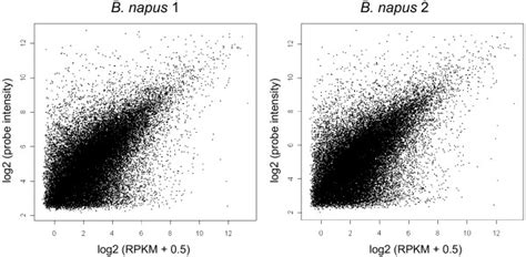 Comparison Of Transcript Quantification In Resynthesisedb Napusby