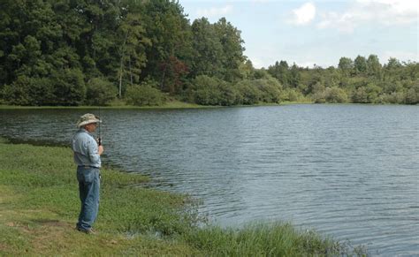 Guide To Crappie Fishing In Alabama Outdoorworld Reviews