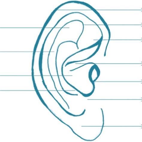 A Deep Learning Approach For Person Identification Using Ear Biometrics Request Pdf