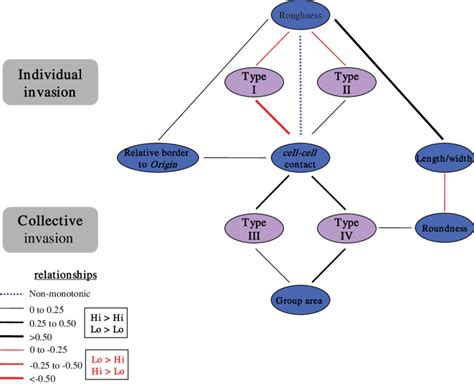 The Bayesian Network Learned From The Group Morphological Variables