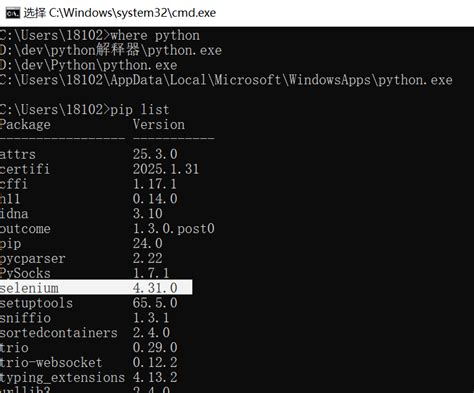 报no module named selenium 错误 编程语言 csdn问答