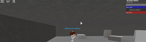 Why Isnt This Simple Team Only Door Script Working Scripting