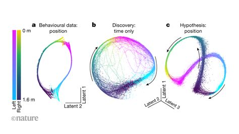 Brain Dynamics Uncovered Using A Machine Learning Algorithm Trendradars