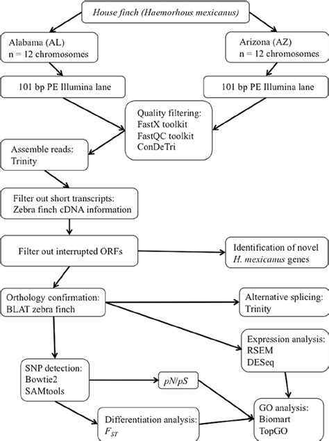 Schematic Work Flow Illustrating The Main Steps From The Sampling To Download Scientific