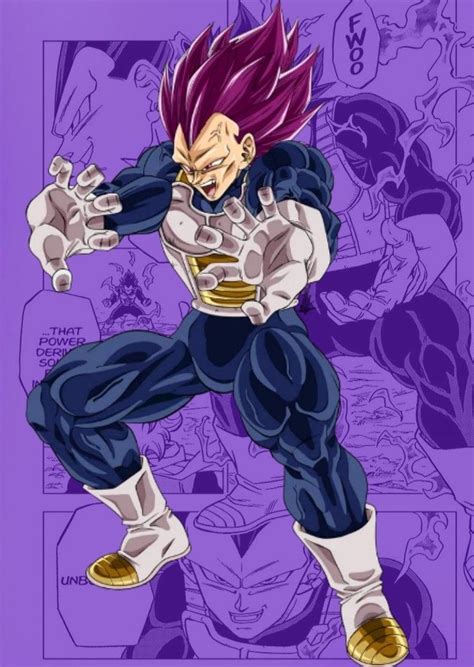 Vegeta Ultra Ego Panel Nel 2025