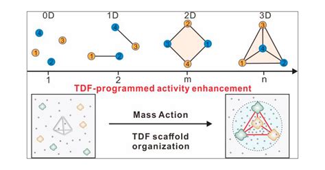 Dna Frameworkprogrammed Nanoscale Enzyme Assemblies Nano Letters