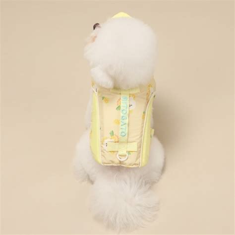 리토가토 스윙하트 강아지 구명조끼 옐로우 페오펫몰 리토가토 스윙하트 강아지 구명조끼 옐로우 페오펫몰