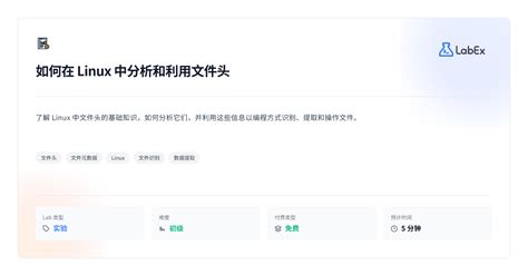 如何在 Linux 中分析和利用文件头 Labex