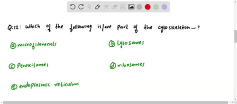 ⏩solved Which Of The Following Is Are Part Of The Cytoskeleton A … Numerade