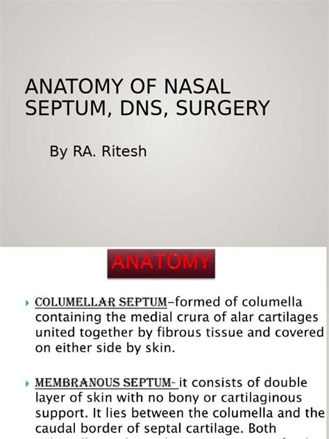Nasal Septum Anatomy Dns Surgery By Ra Ritesh Pdf Human Nose
