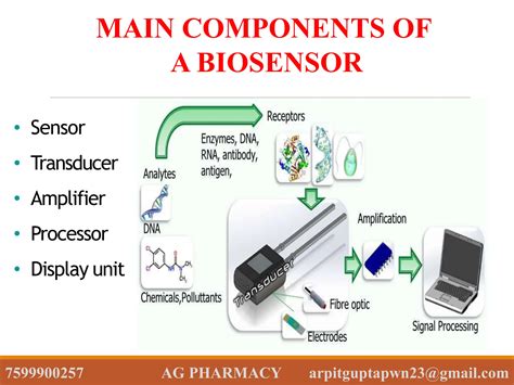 Ii Biosensor Principle Applications And Working Ii Ppt Ii Biosensor Principle Applications And Working Ii Ppt