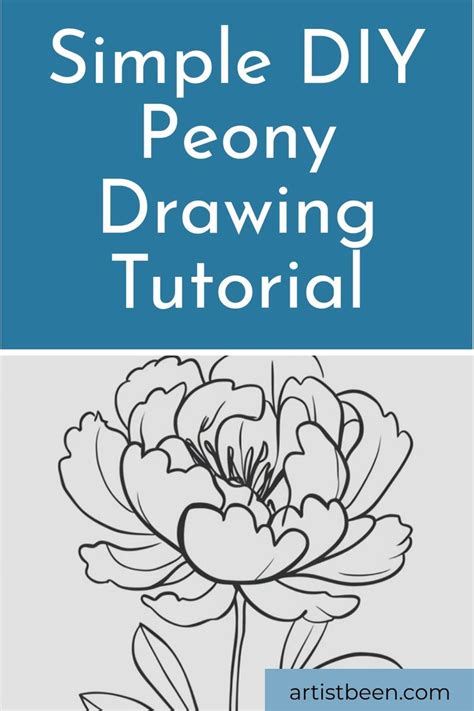 Simple Diy Peony Drawing Tutorial In 2025 Peony Drawing Drawing