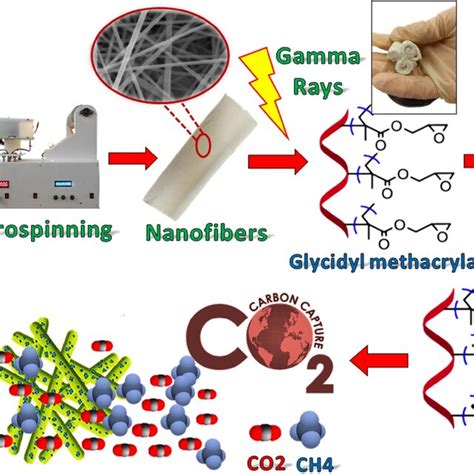 Schematic Procedure For The Preparation Of The Polymeric Adsorbents Download Scientific Diagram
