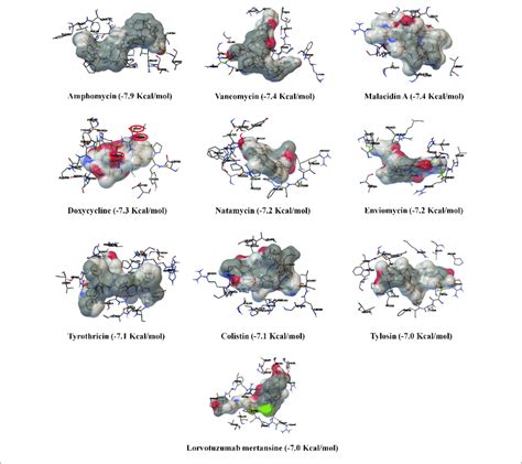 Magnesium Oxide Doxycycline Interaction At Ryan Brooks Blog