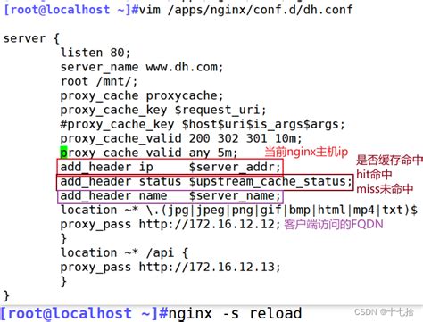 nginx实现反向代理及负载均衡 nginx反向代理实现负载均衡 csdn博客