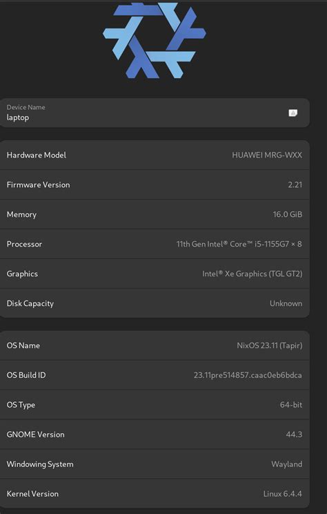 Nixos Disk Capacity Cannot Display Help Nixos Discourse